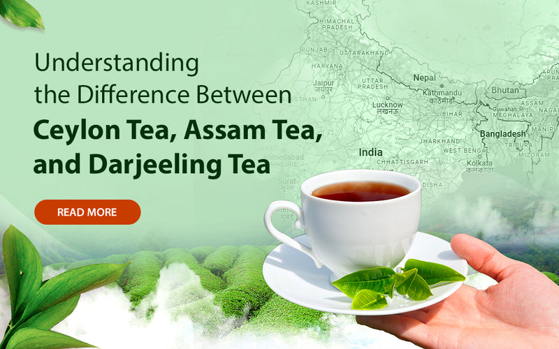 Understanding the Difference Between Ceylon Tea, Assam Tea, and Darjeeling Tea – Golden Tips