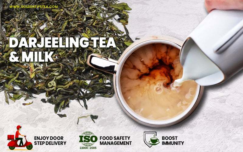 Best Darjeeling Teas With Milk – Golden Tips