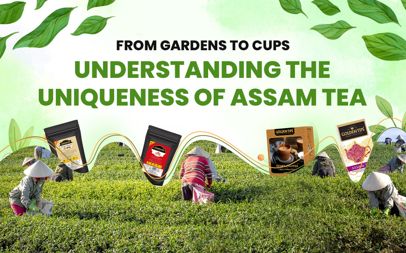 From Gardens to Cups: Understanding the Uniqueness of Assam Tea ...