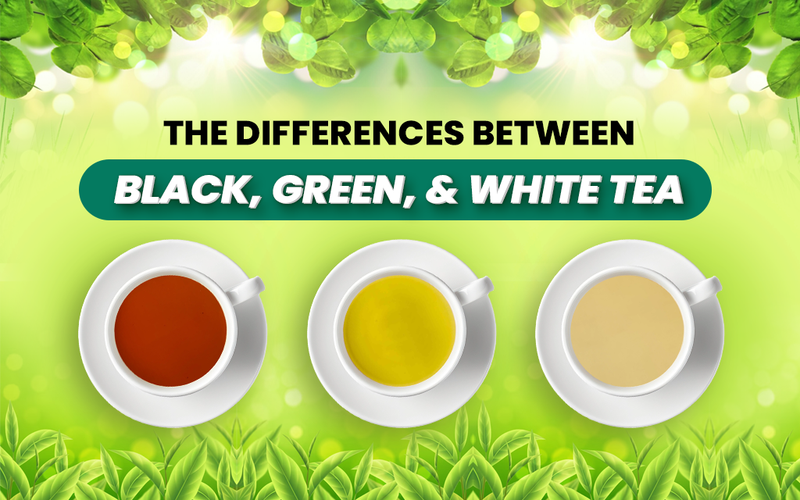 Tea Basics: Exploring the Differences between Black, Green, and White ...