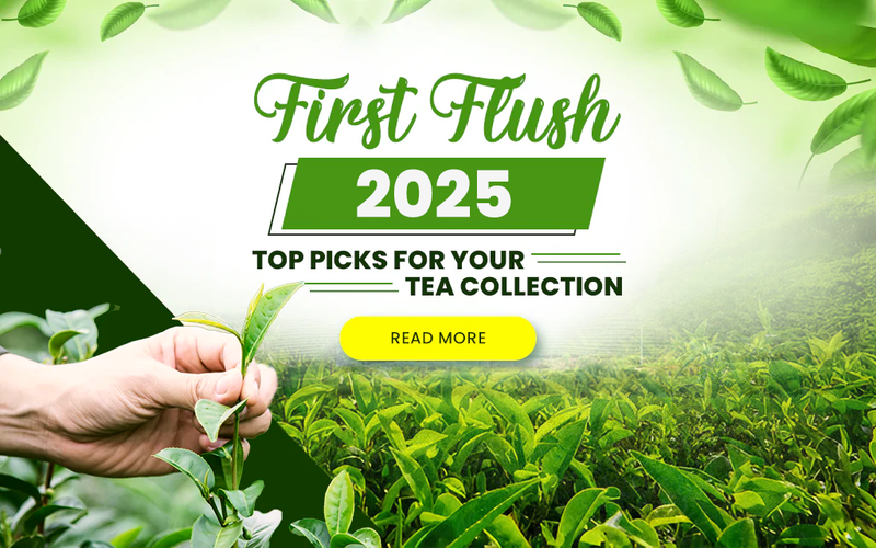 Top Picks of First Flush 2025 – Golden Tips