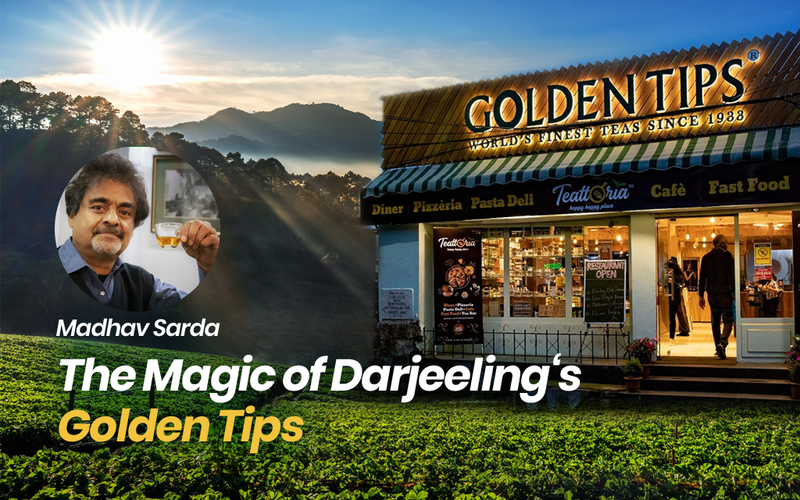 Tea Magic of Darjeeling’s Golden Tips Tea