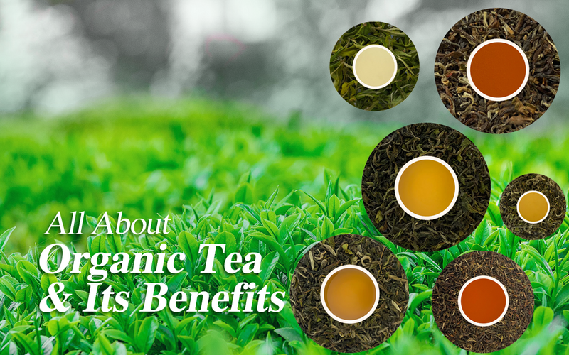 Benefits of Organic Tea vs. Regular Tea – Golden Tips