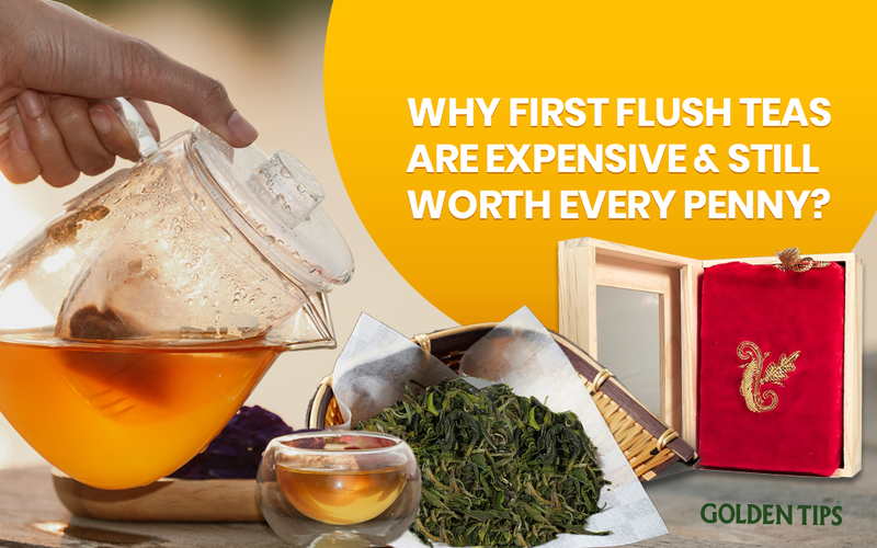 What Is First Flush Tea And Why Is It So Expensive? – Golden Tips