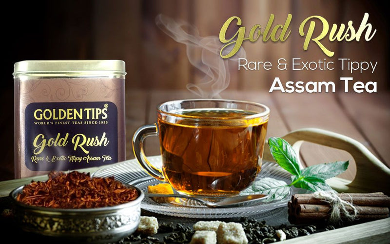 Announcing Gold Rush Assam Black Tea – Golden Tips