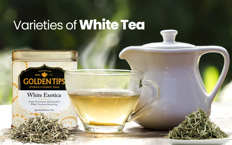 All you need to know about White Tea and Its Health Benefits – Golden Tips