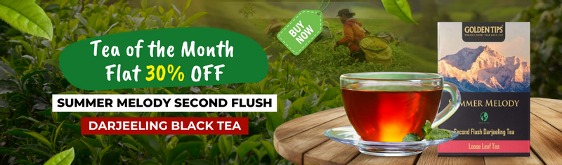 Golden Tips Tea: Buy Premium Loose Leaf Indian Tea, Direct from source