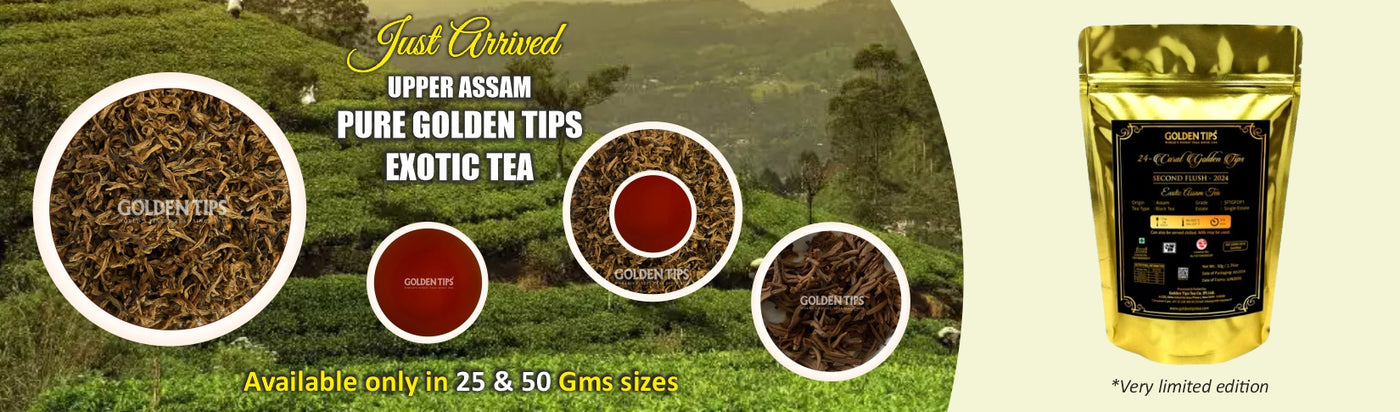 Golden Tips Tea: Buy Premium Loose Leaf Indian Tea, Direct from source