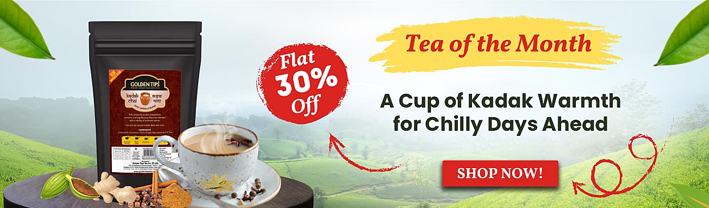 Golden Tips Tea: Buy Premium Loose Leaf Indian Tea, Direct from source